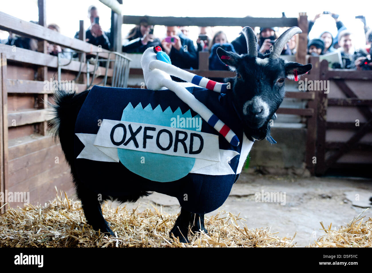London, UK - 31 March 2013: Oxford Goat poses for a picture at the 5th ...