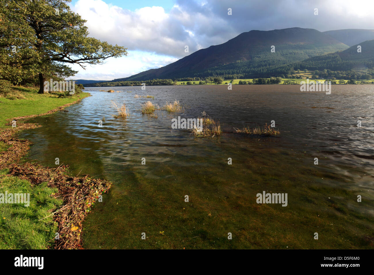 Bassenthwaite lake district hi-res stock photography and images - Alamy