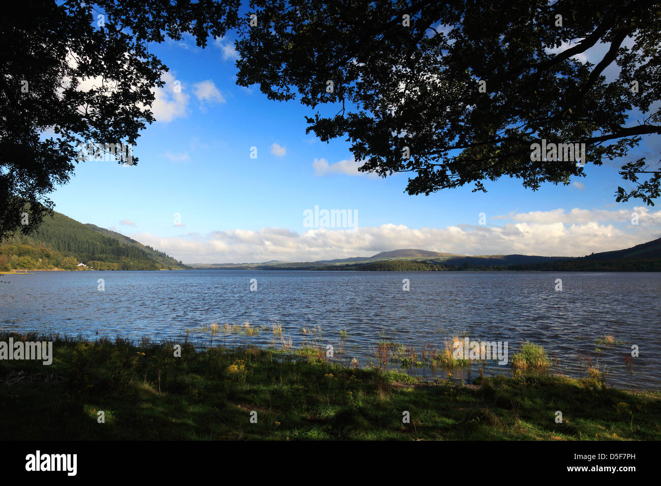 Bassenthwaite lake district hi-res stock photography and images - Alamy
