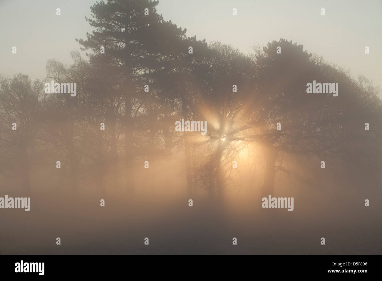 Dawn breaks through mist hi-res stock photography and images - Alamy