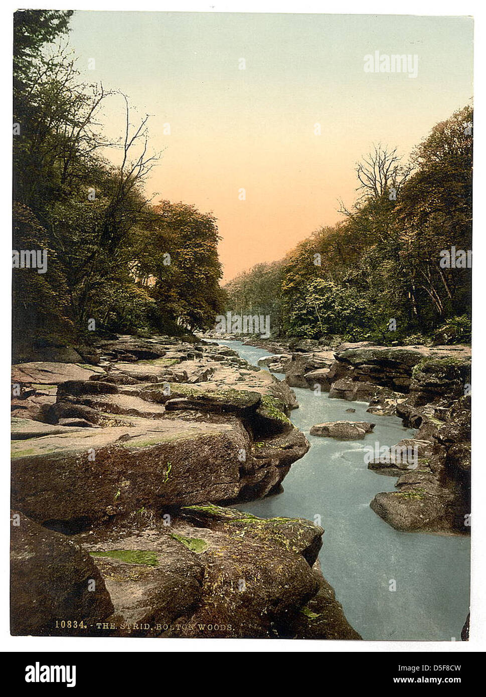 The Strid, a renowned stretch of river near Bolton Abbey in England, is ...