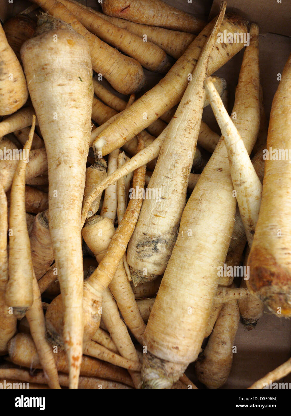 withered parsley roots in market place as background Stock Photo - Alamy