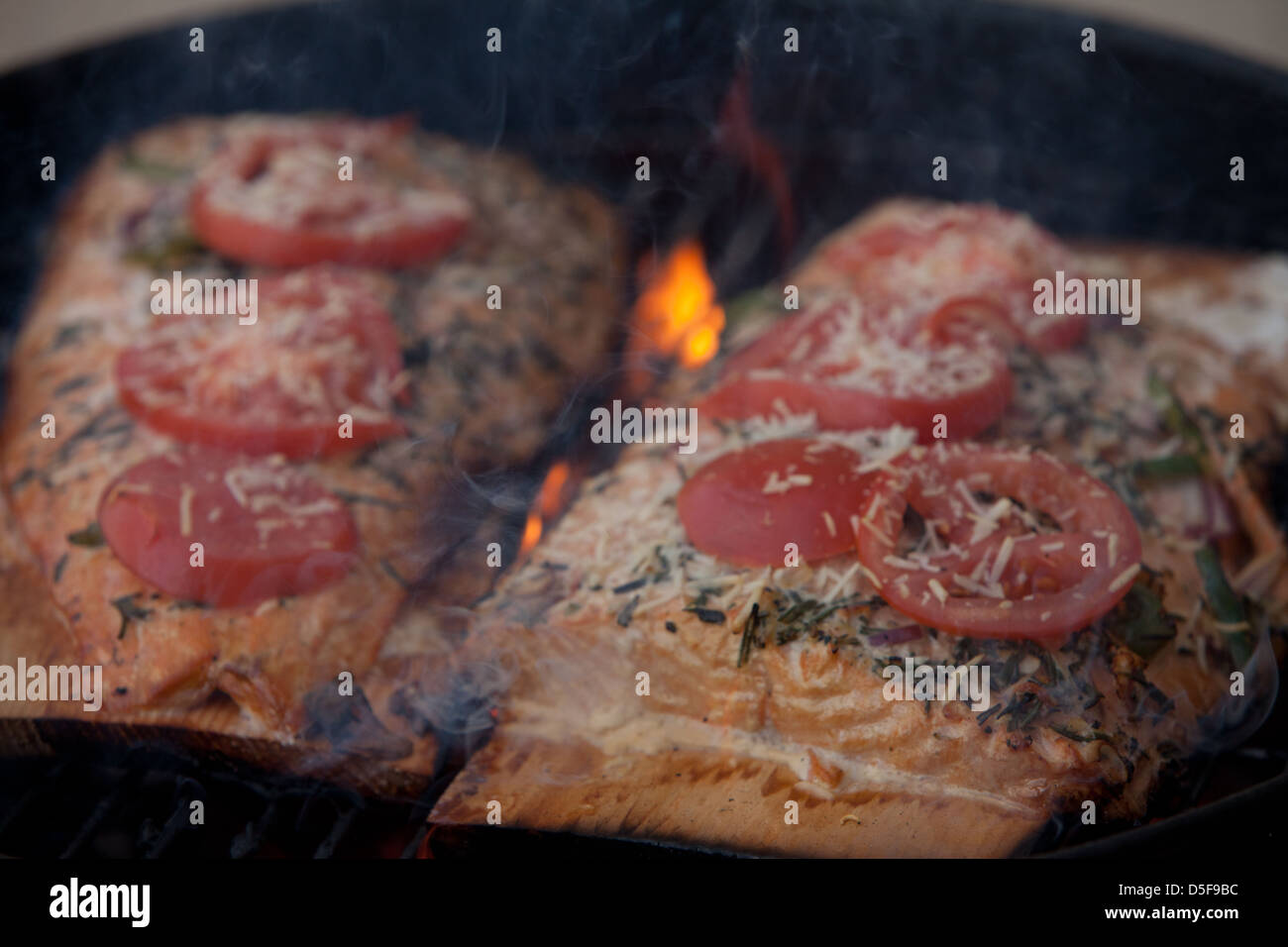 salmon up close cooking on the grill Stock Photo - Alamy
