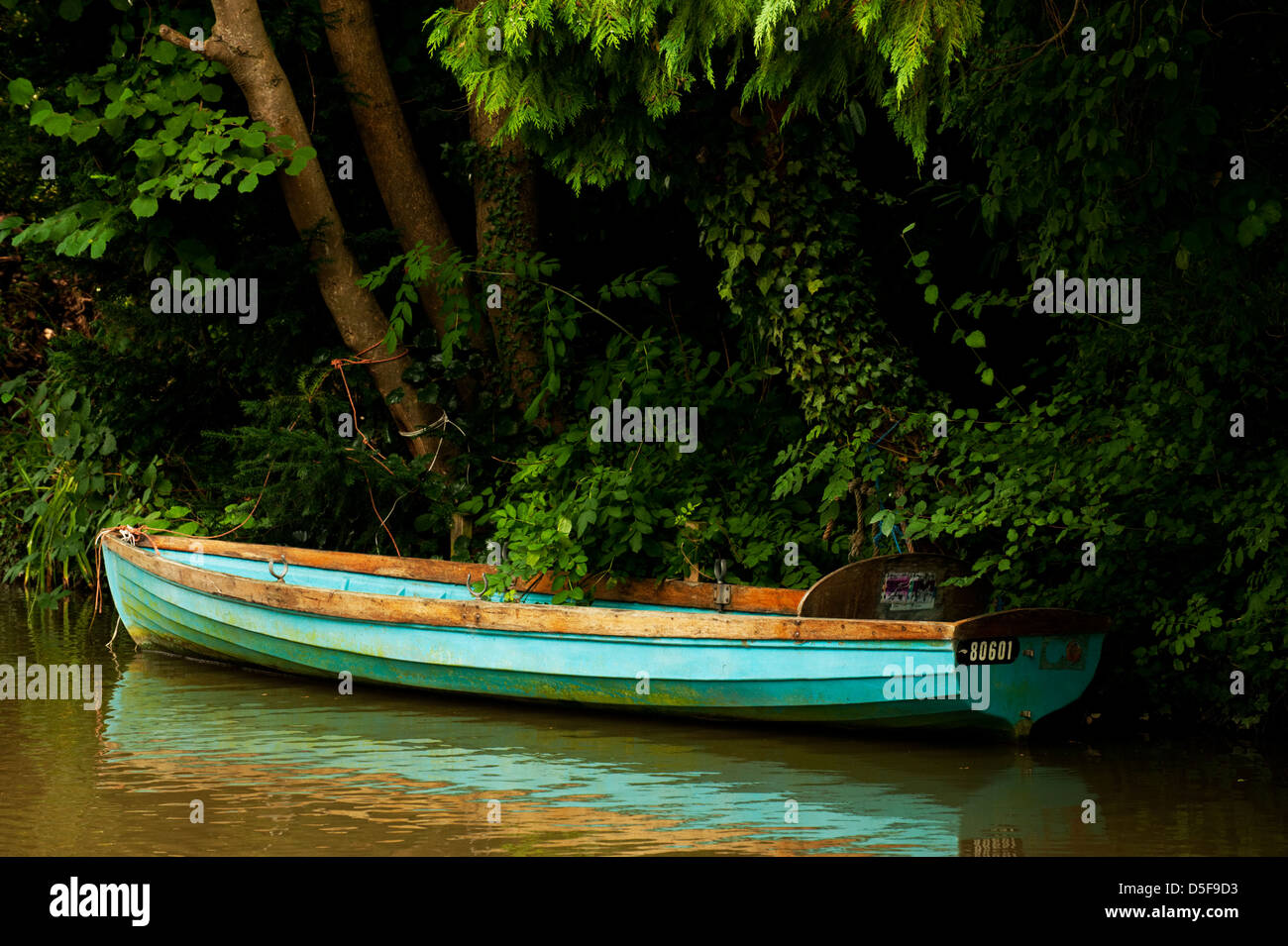 A blue rowboat moored below leafy trees on the Oxford Canal, Oxford ...