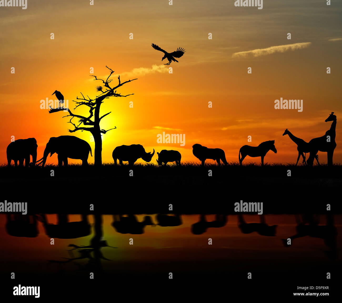 African Wild Animals Silhouettes Against A Sunset Stock Photo - Alamy