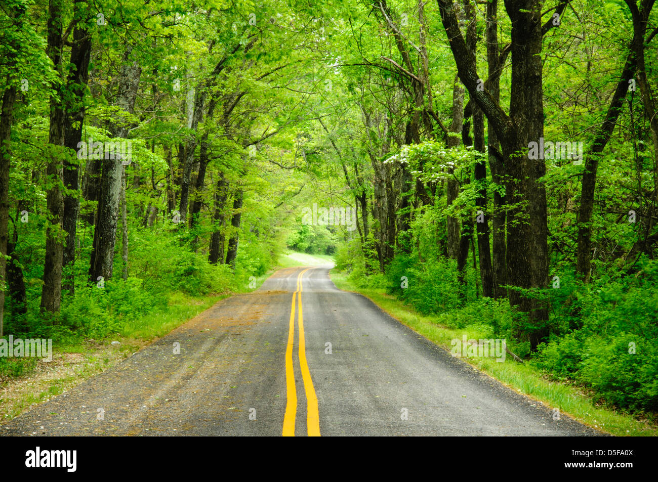 Pea ridge national military park hi-res stock photography and images ...