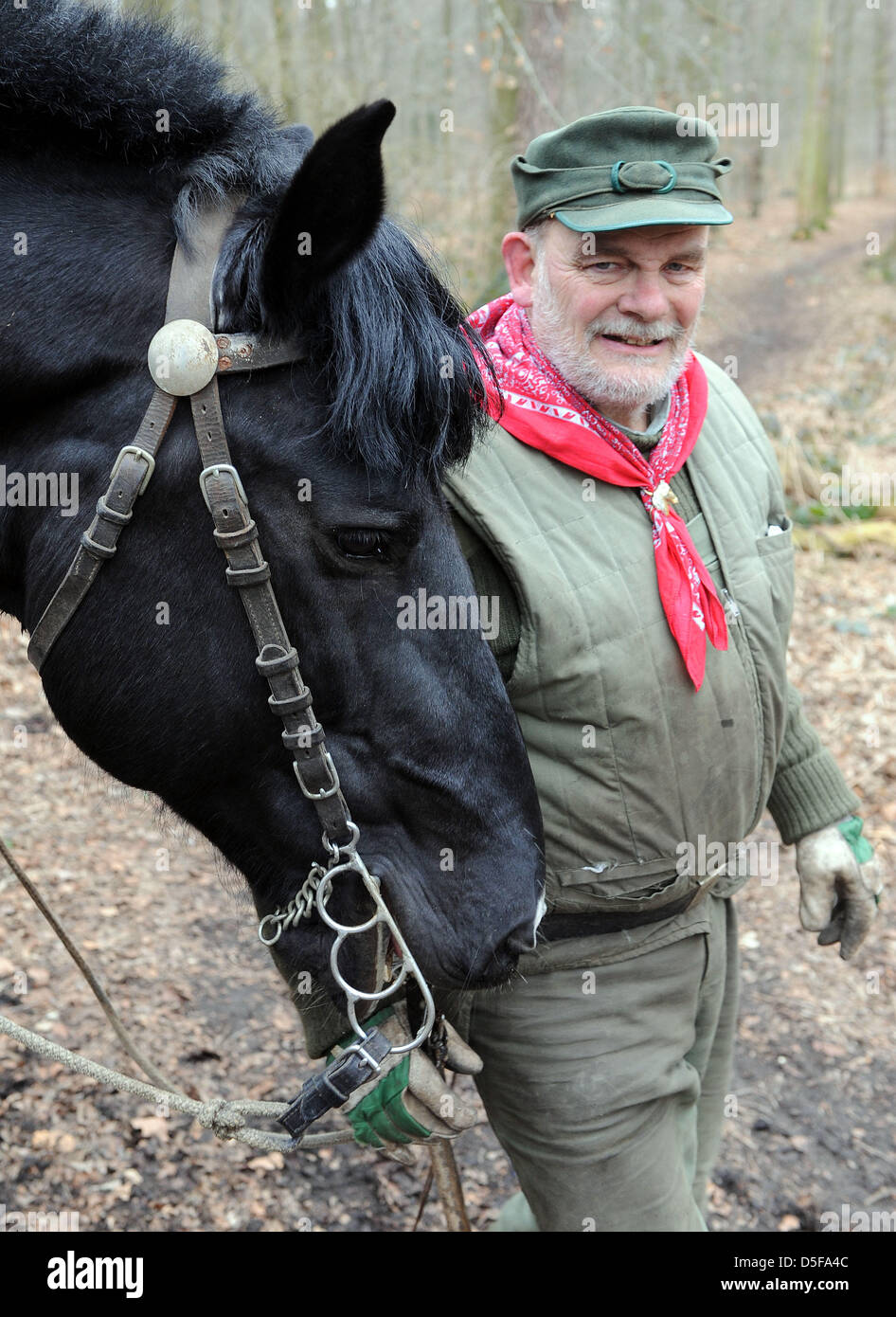 Hans Wilhelm Meier leads his French Percheron stallion Medoc as the ...