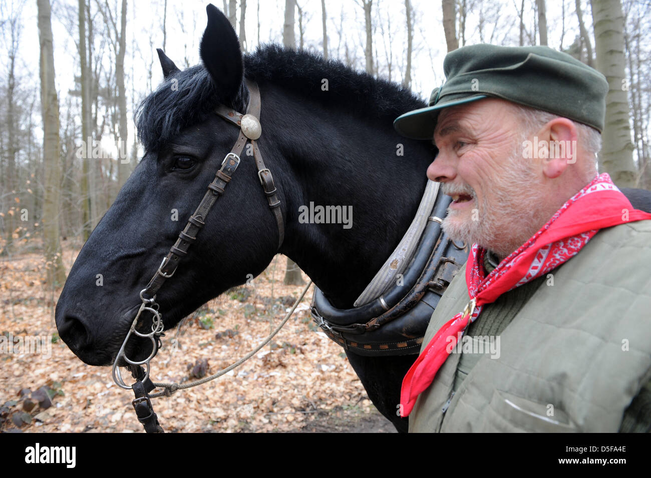 Hans Wilhelm Meier leads his French Percheron stallion Medoc as the ...