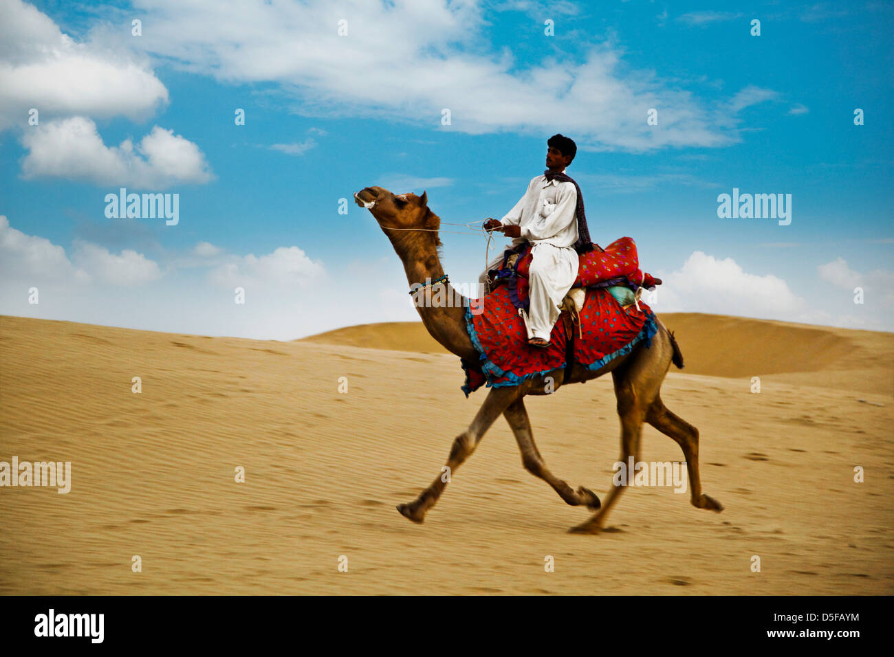 Man riding camel hi-res stock photography and images - Alamy