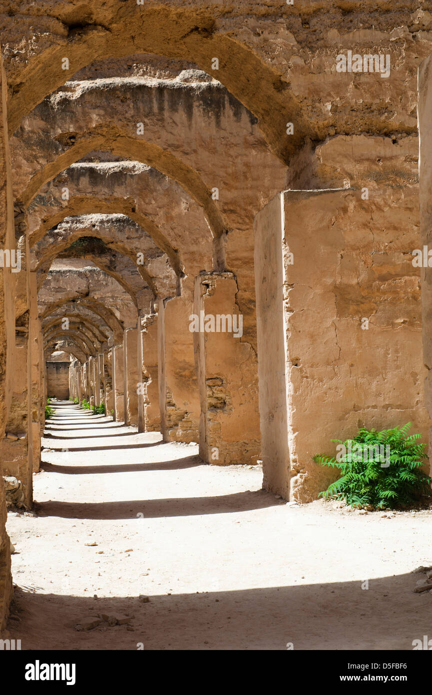 Royal horse stables, Meknes, Morocco Stock Photo - Alamy