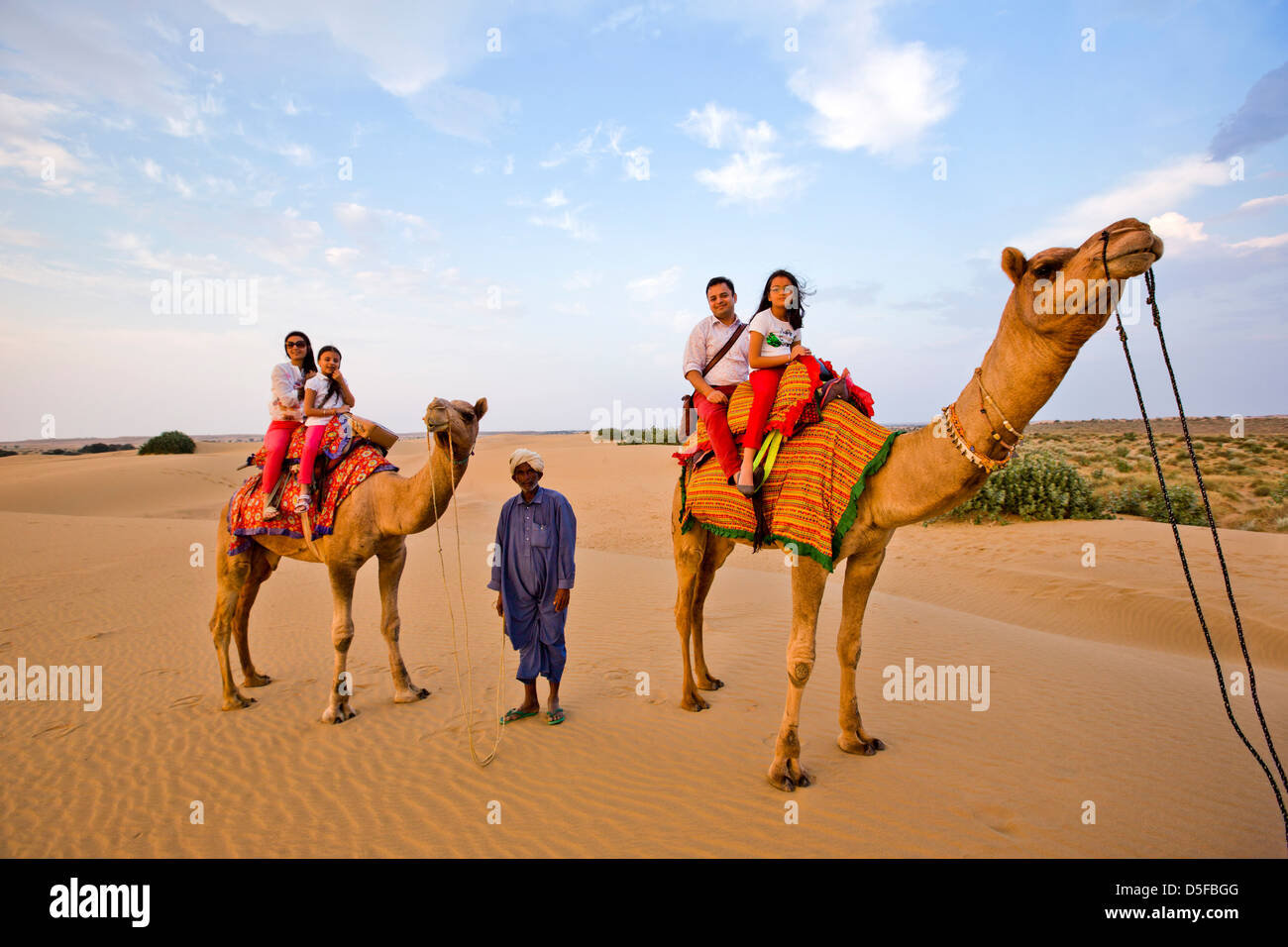 Thar desert animals hi-res stock photography and images - Alamy