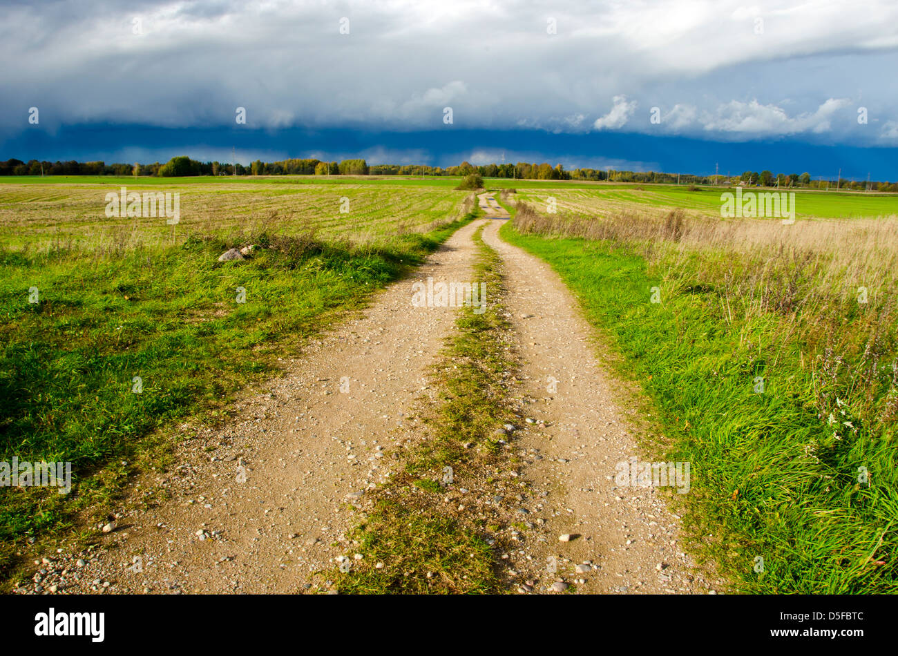 landscape with rural gravel road perspective in autumn Stock Photo - Alamy