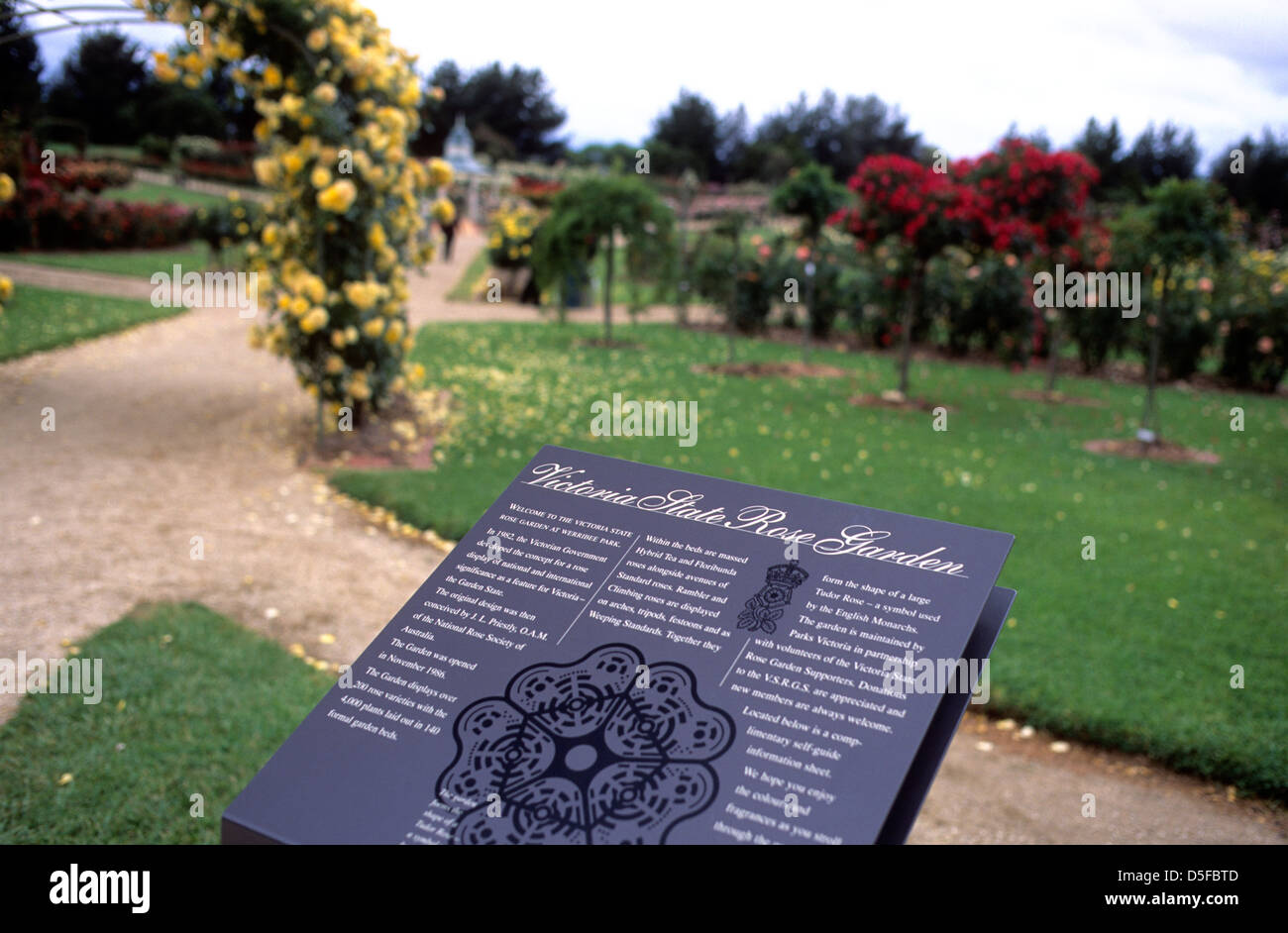 Australia, Victoria, Melbourne, the state rose garden at Werribee Stock ...