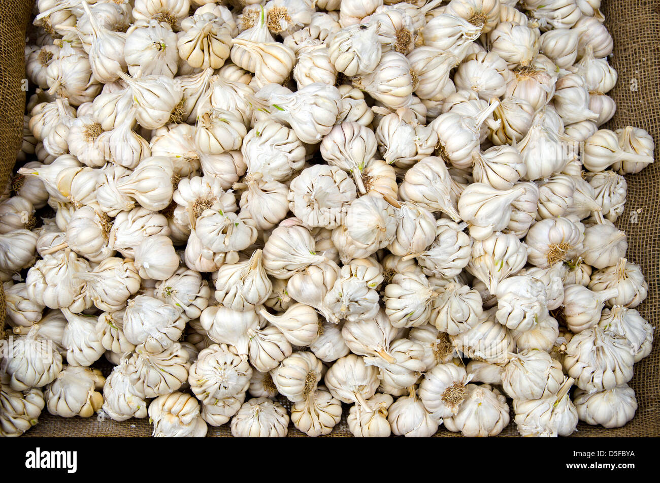 garlics in asia street market, india Stock Photo - Alamy