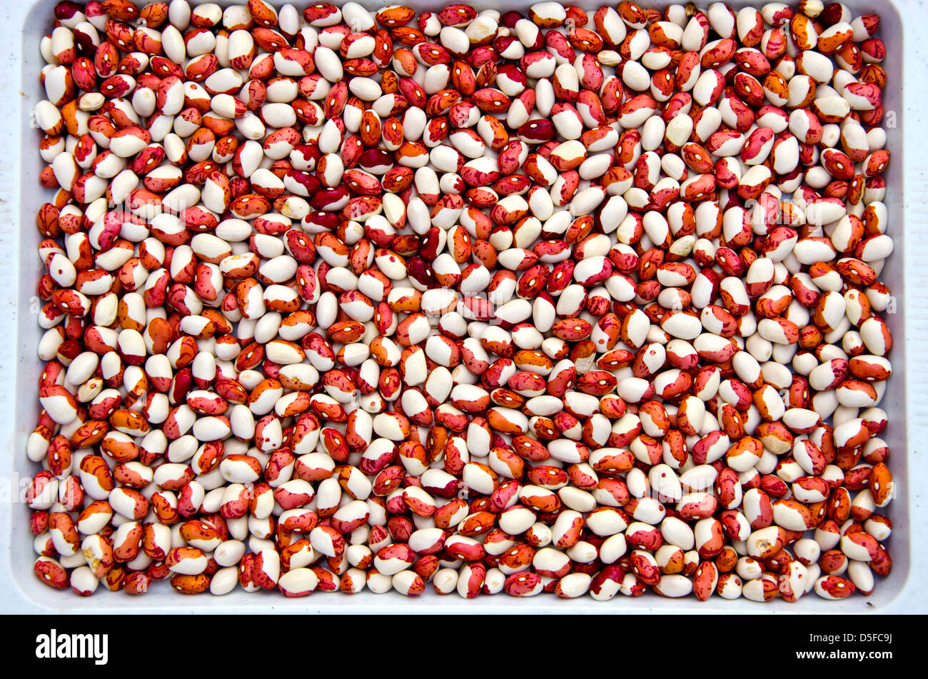 colorful bean background and texture Stock Photo - Alamy