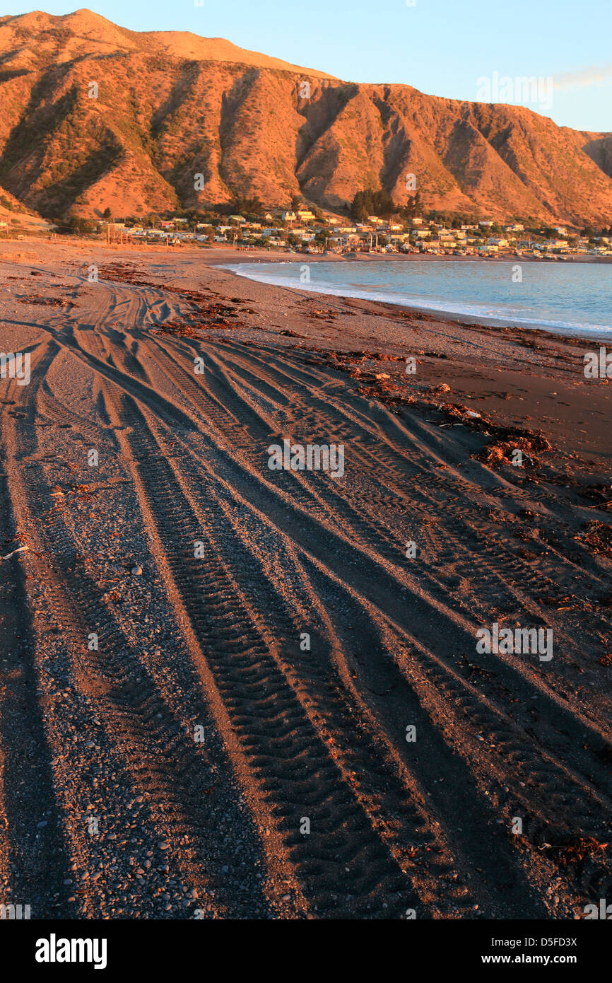 Ngawi beach new zealand hi-res stock photography and images - Alamy