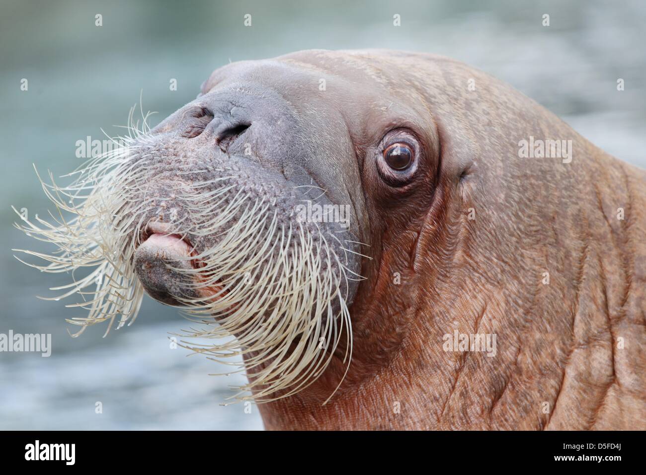 New dyna hi-res stock photography and images - Alamy