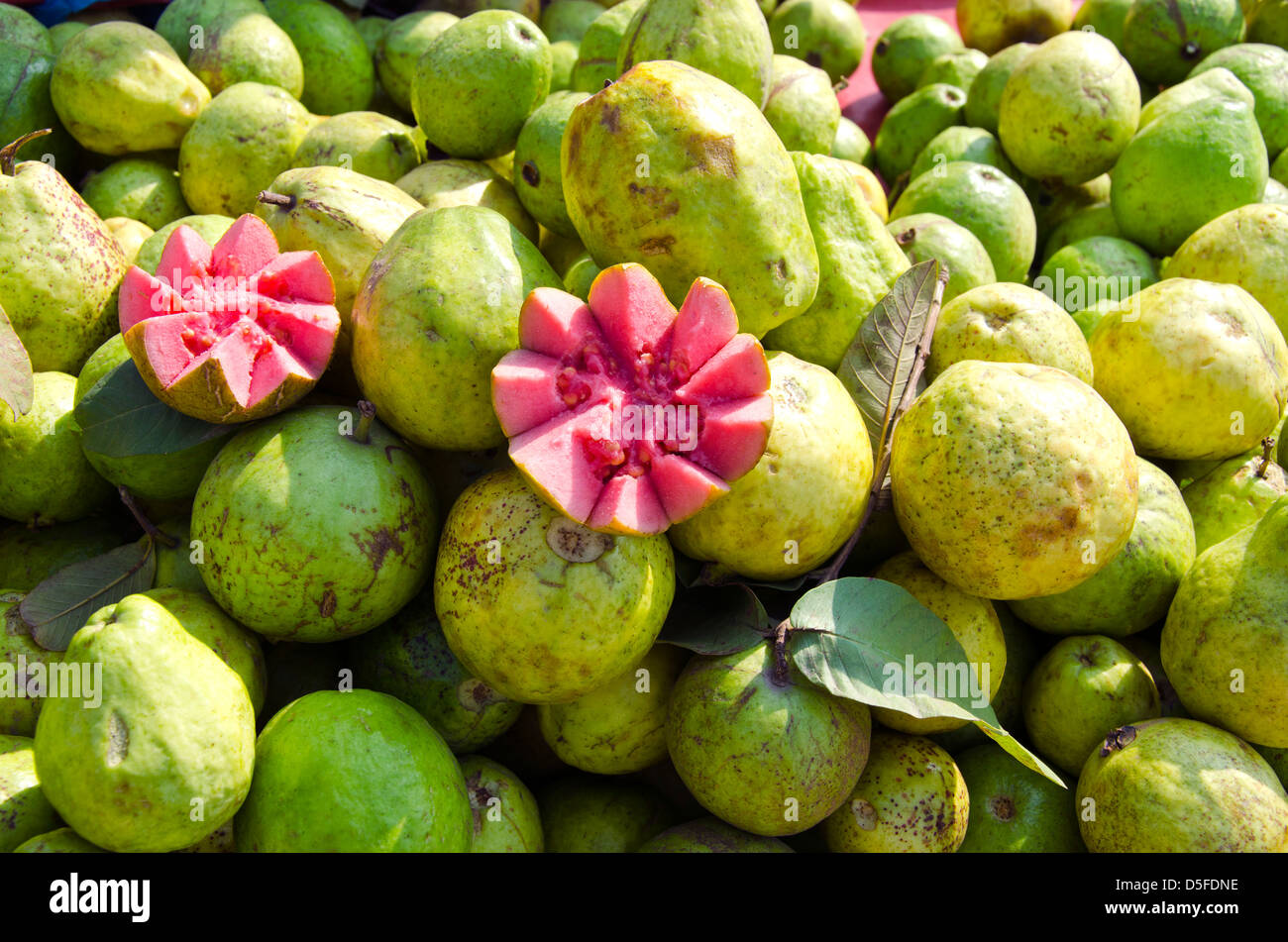 India guava fruits hi-res stock photography and images - Alamy