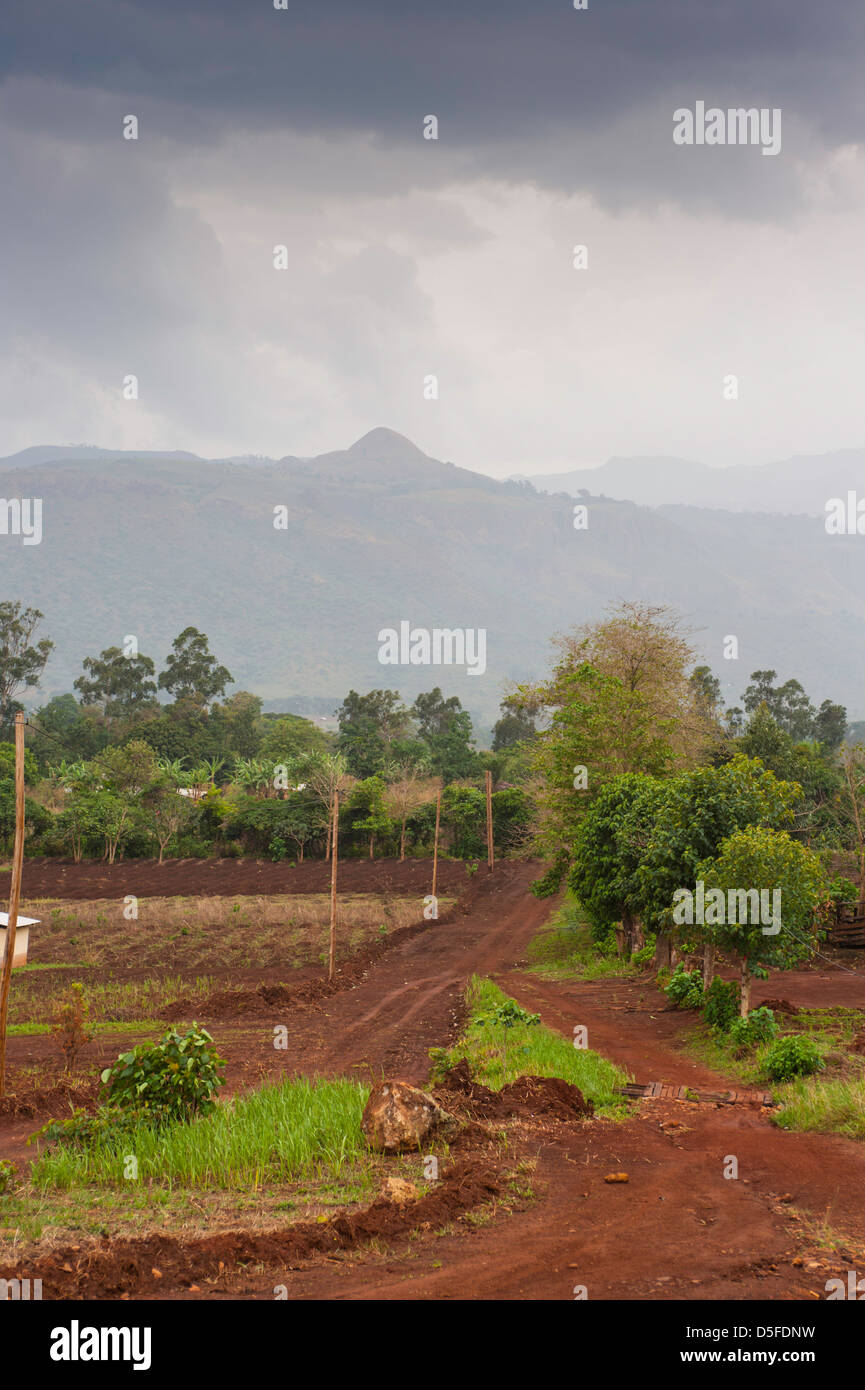 Cameroon traditional hi-res stock photography and images - Alamy