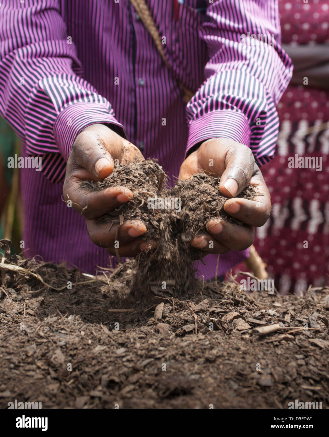 Making compost hi-res stock photography and images - Alamy