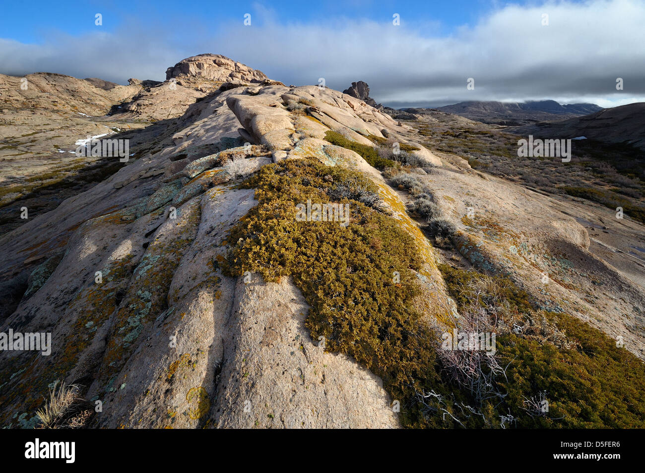 Landscape with juniper in stone plateau Bektau Ata, Kazakhstan Stock ...