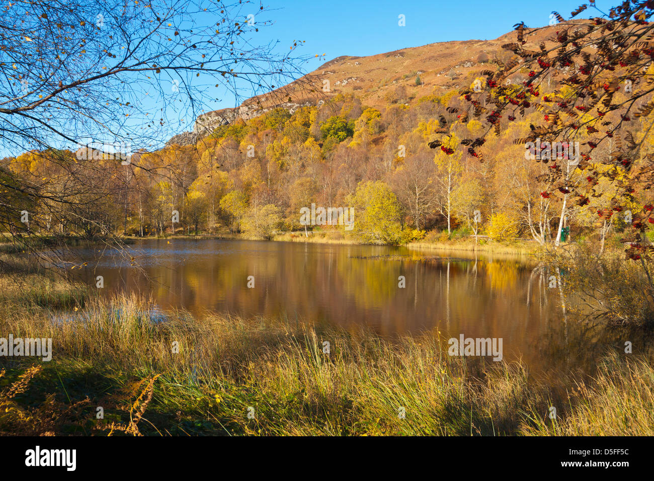 Aberfoyle hi-res stock photography and images - Alamy