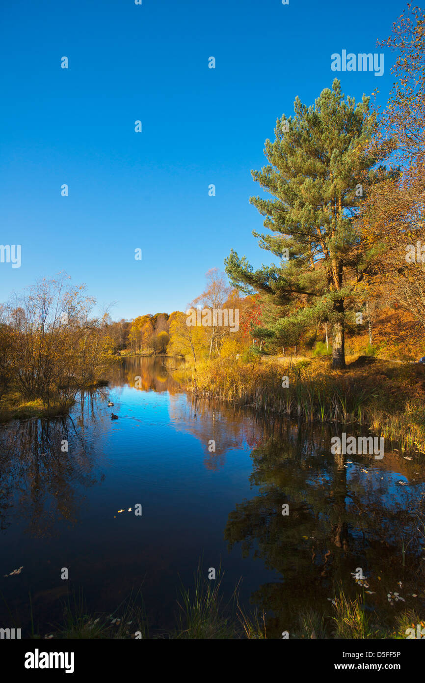 Autumn colours in the Trossachs, Aberfoyle, Scotland, UK Stock Photo ...