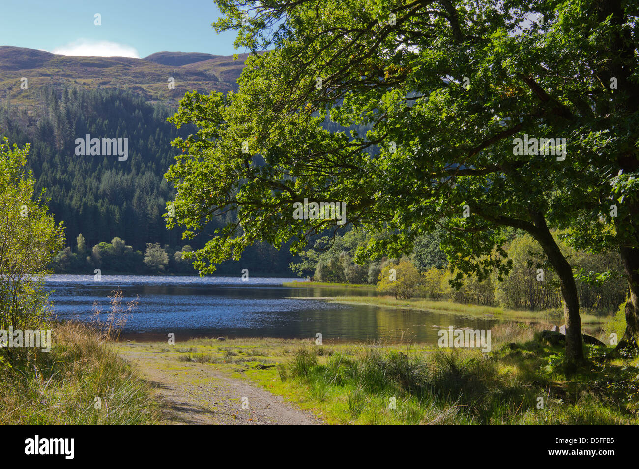 Loch Chon, Trossachs, Scotland, UK Stock Photo - Alamy