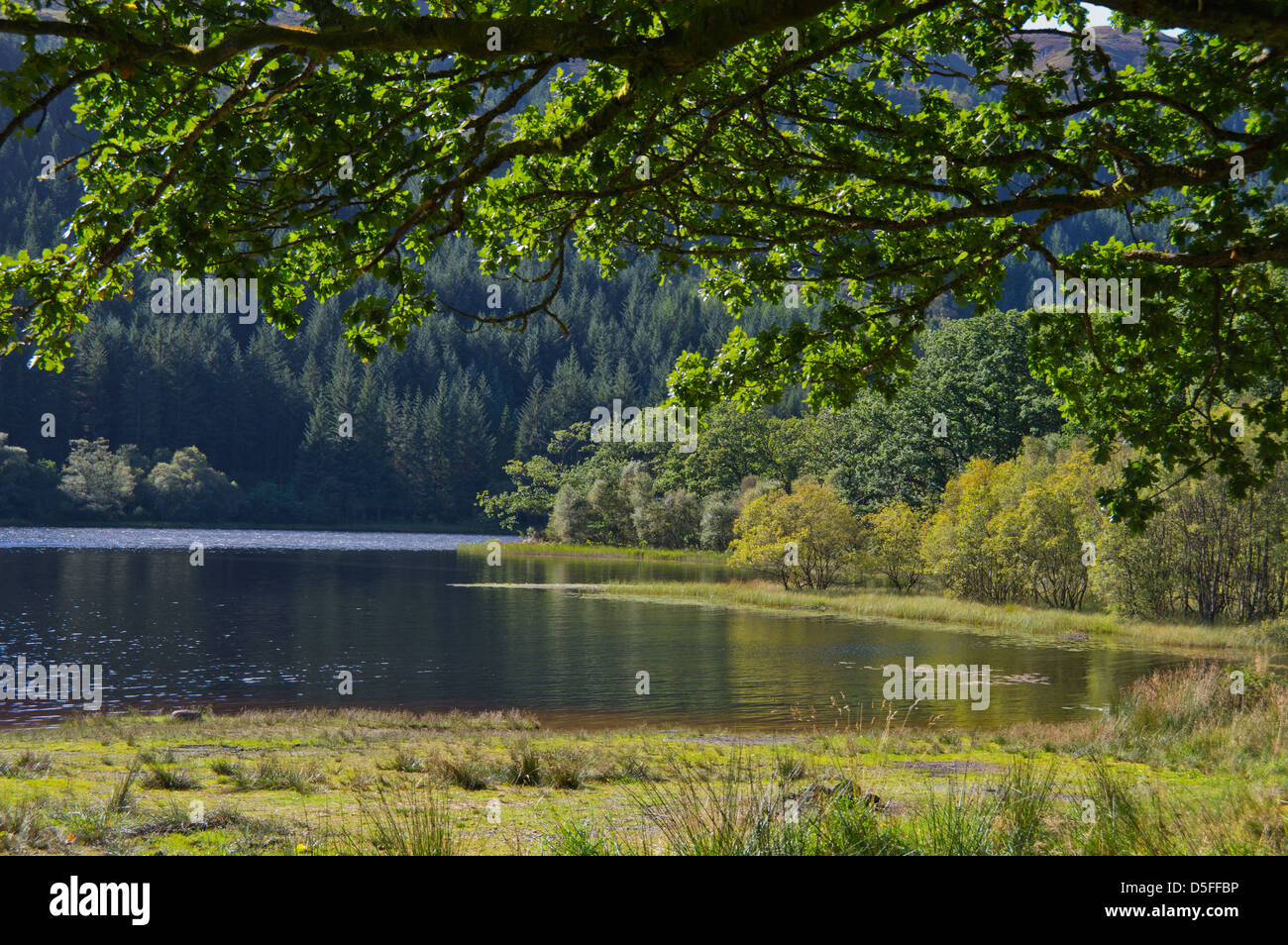 Loch Chon Scotland High Resolution Stock Photography and Images - Alamy