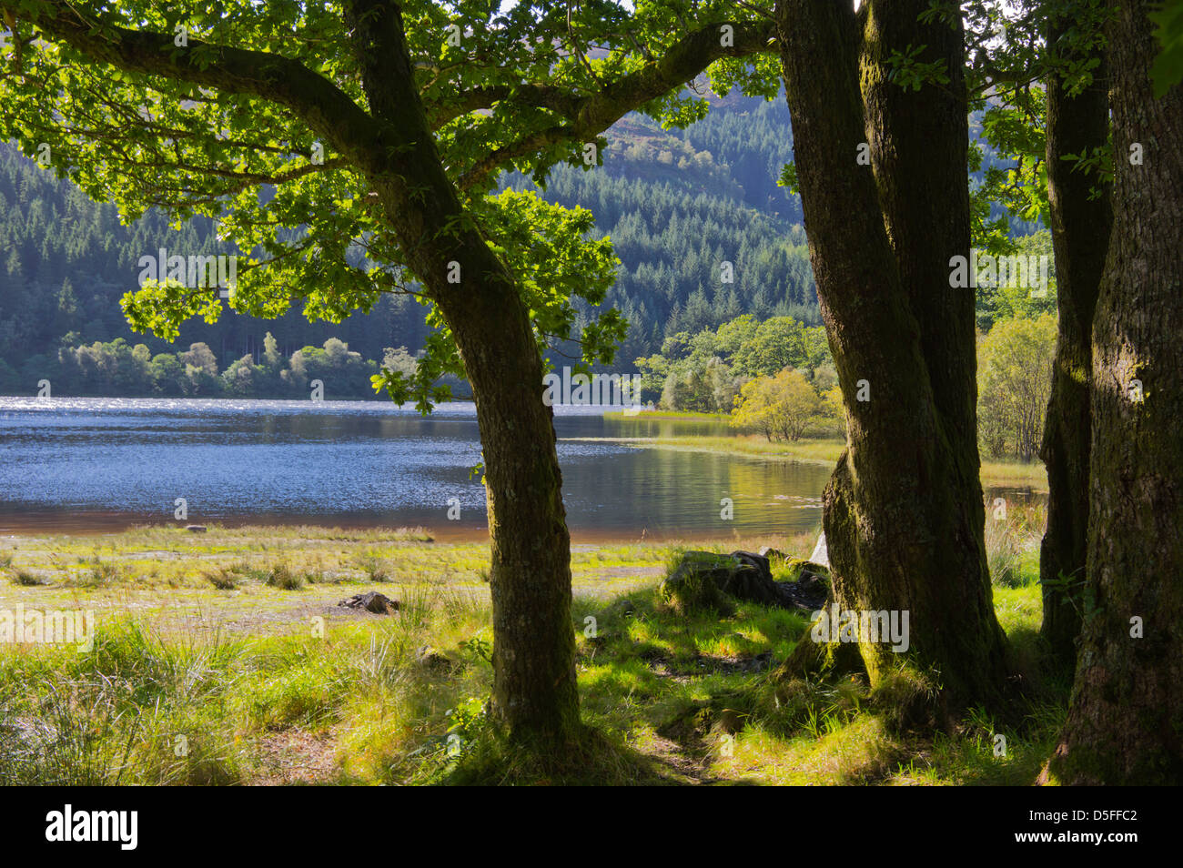 Loch chon scotland hi-res stock photography and images - Alamy