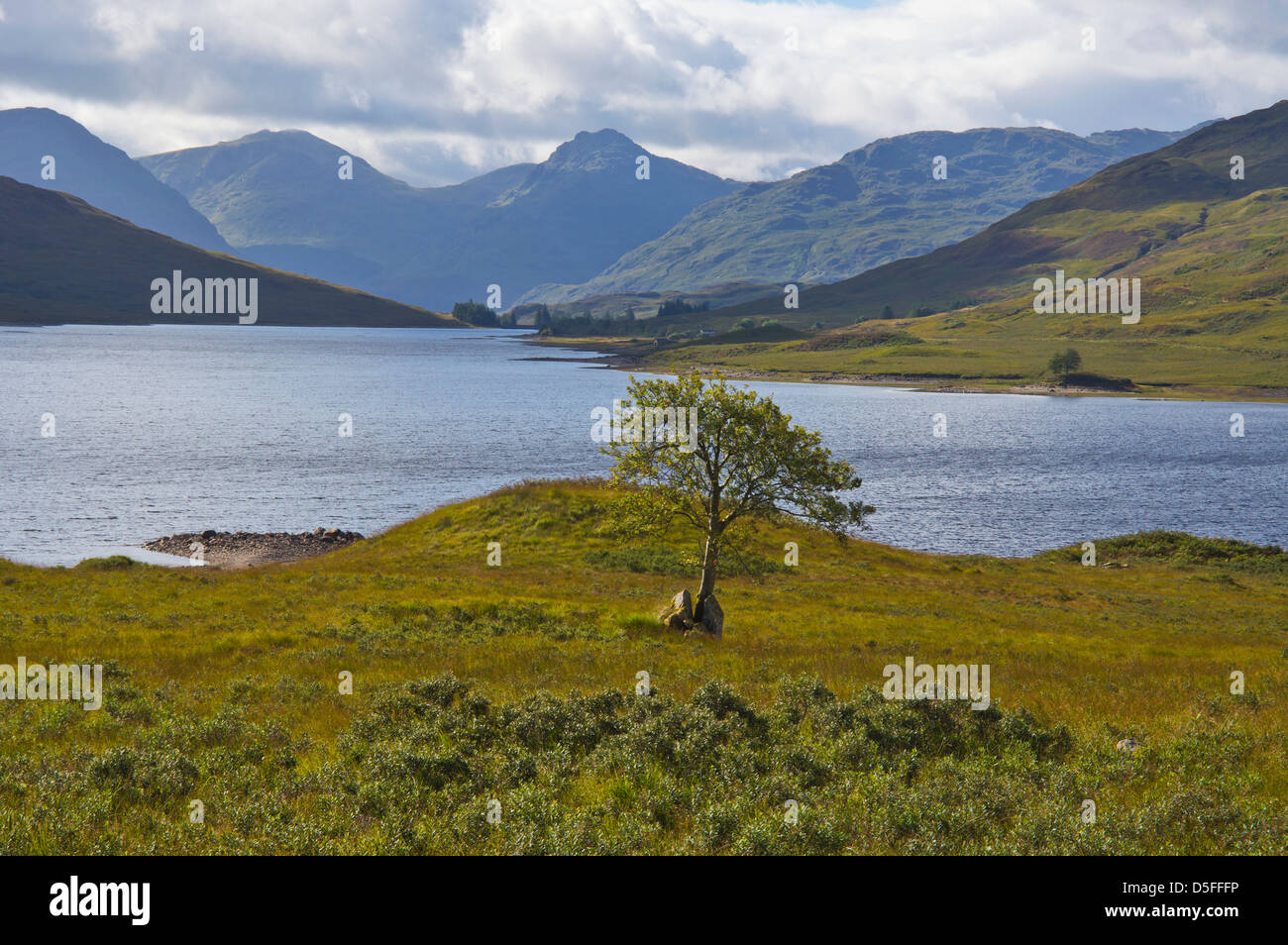 Loch Arklet, Trossachs, Scotland, UK Stock Photo - Alamy