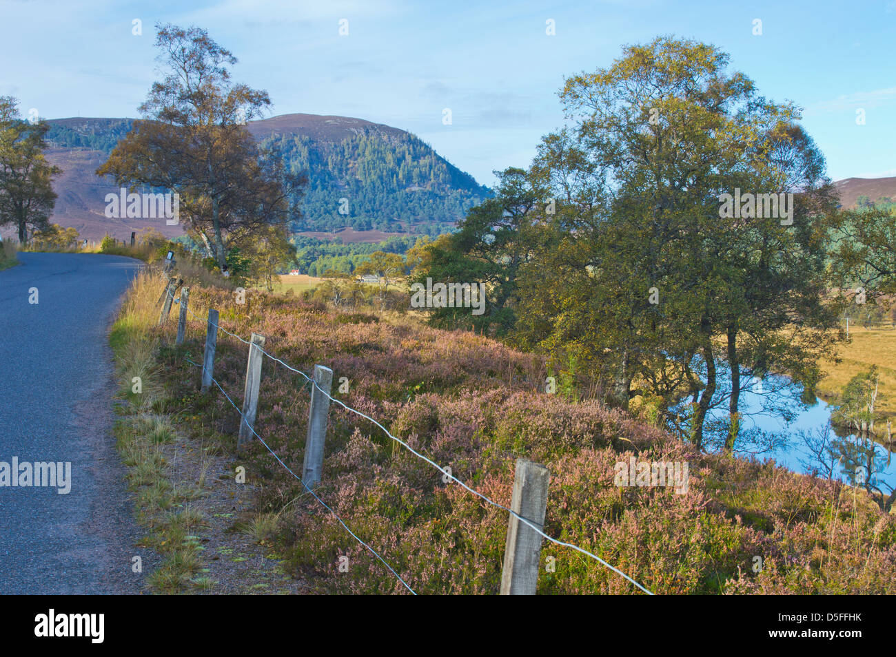 Autumn colours, River Dee, Linn of Dee, Braemar, Aberdeenshire ...