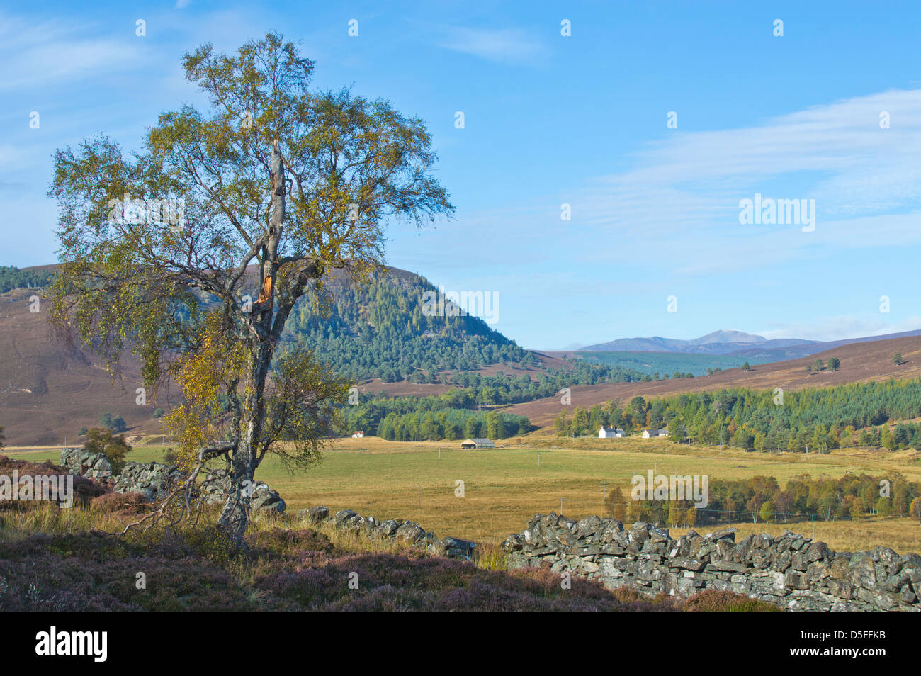 Autumn colours, River Dee, Linn of Dee, Braemar, Aberdeenshire ...