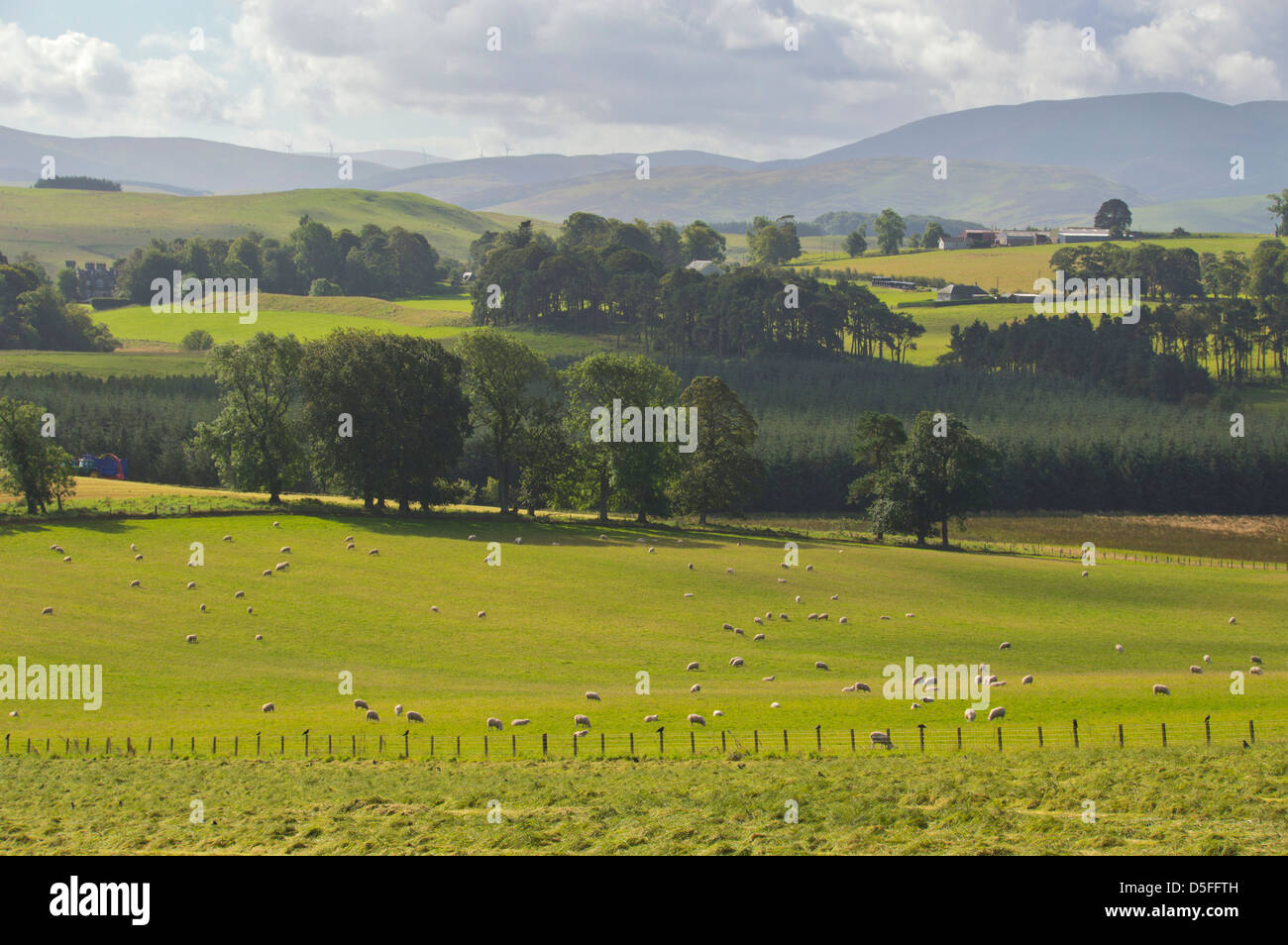 Farming Landscape near Kirkurd, Borders Region, Scotland Stock Photo ...