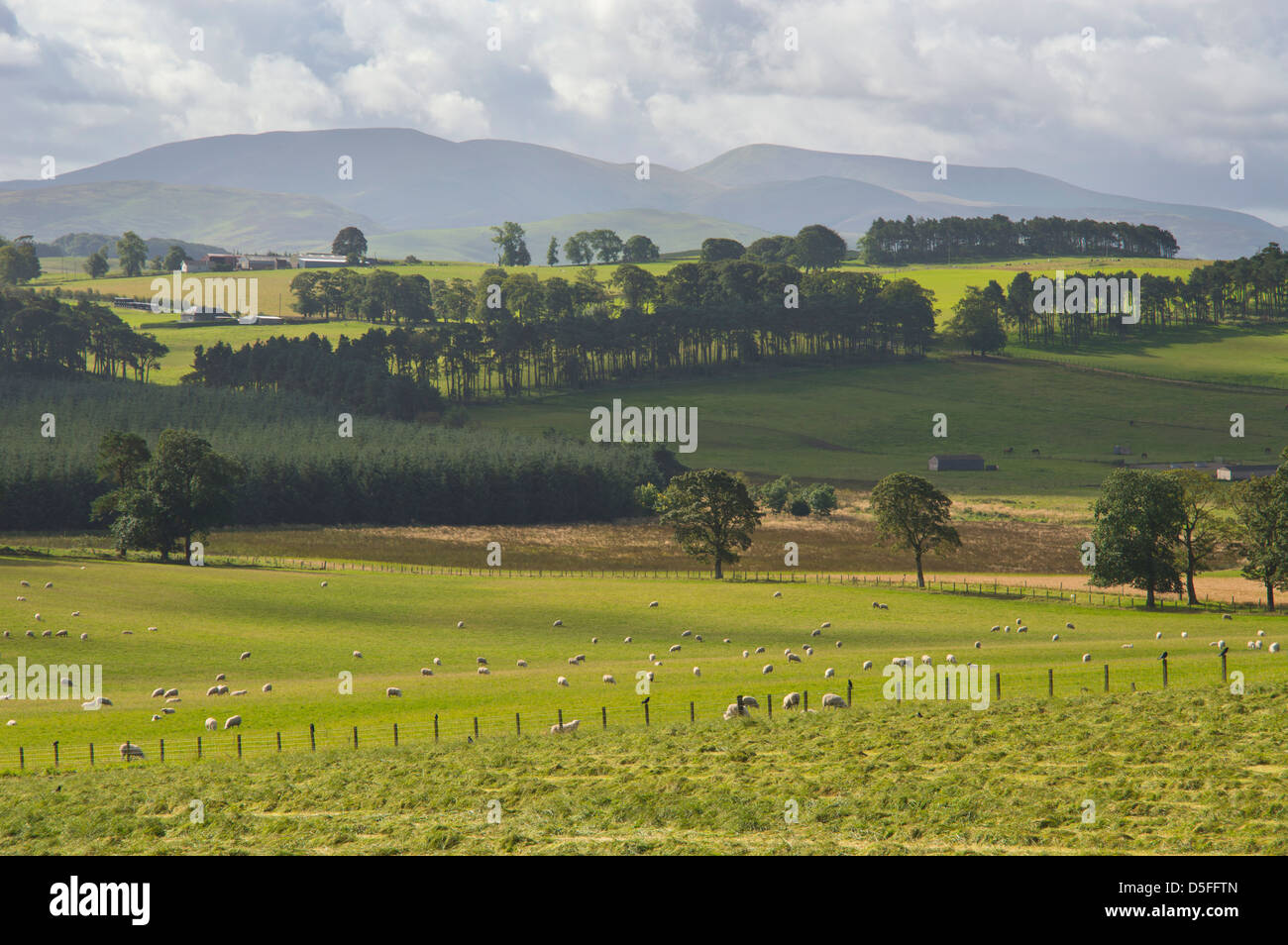Farming Landscape near Kirkurd, Borders Region, Scotland Stock Photo ...
