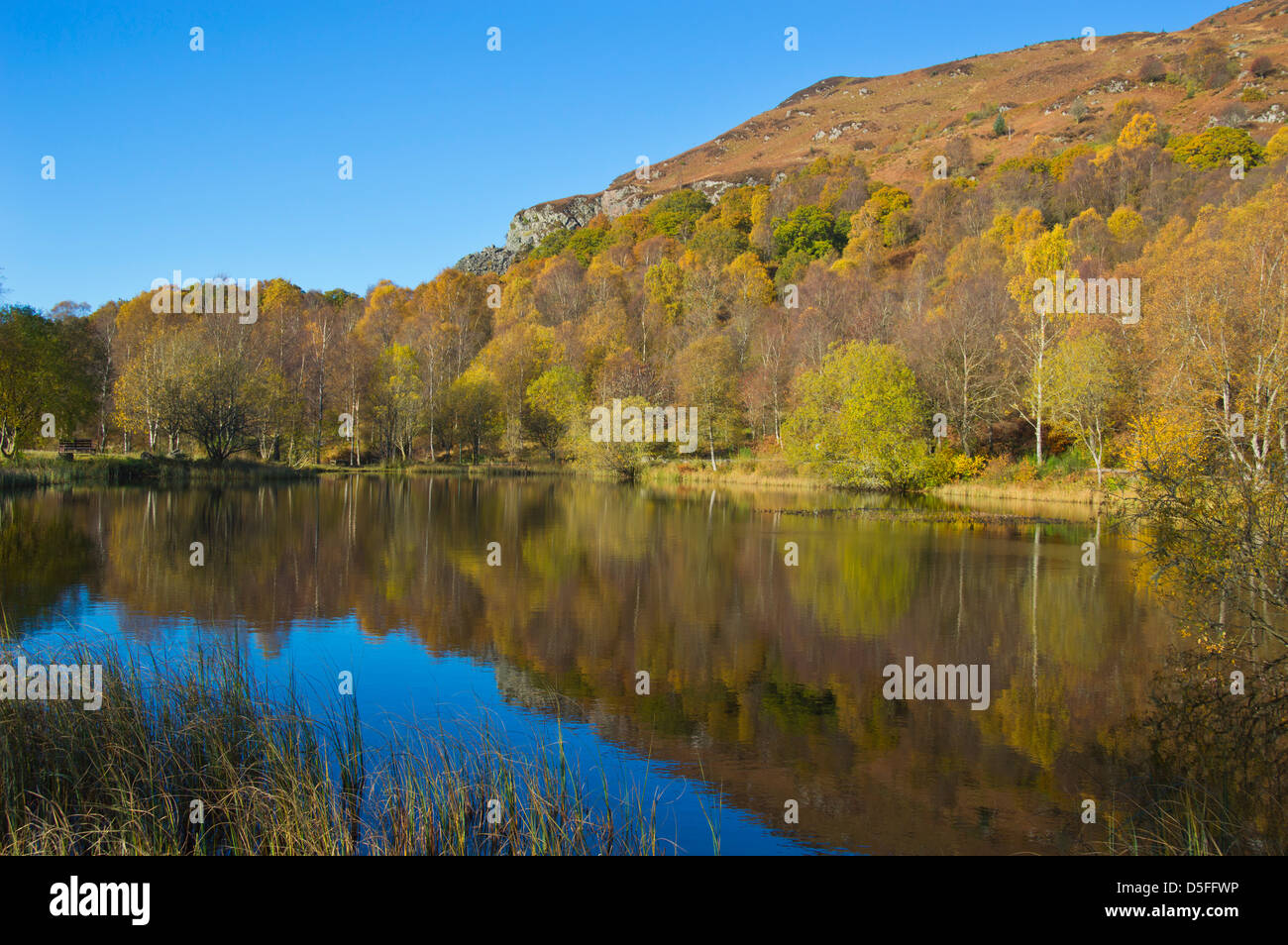 Aberfoyle centre scotland hi-res stock photography and images - Alamy