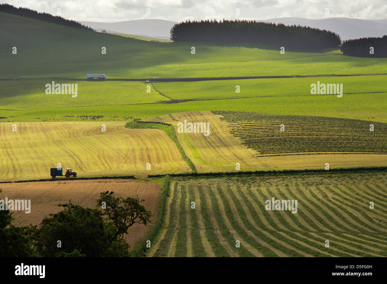 Farming Landscape near Kirkurd, Borders Region, Scotland Stock Photo ...
