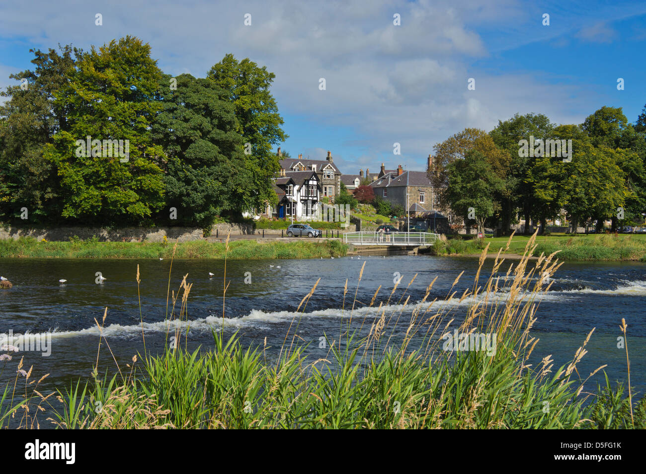 The river Tweed at Peebles, Borders Region, Scotland Stock Photo - Alamy