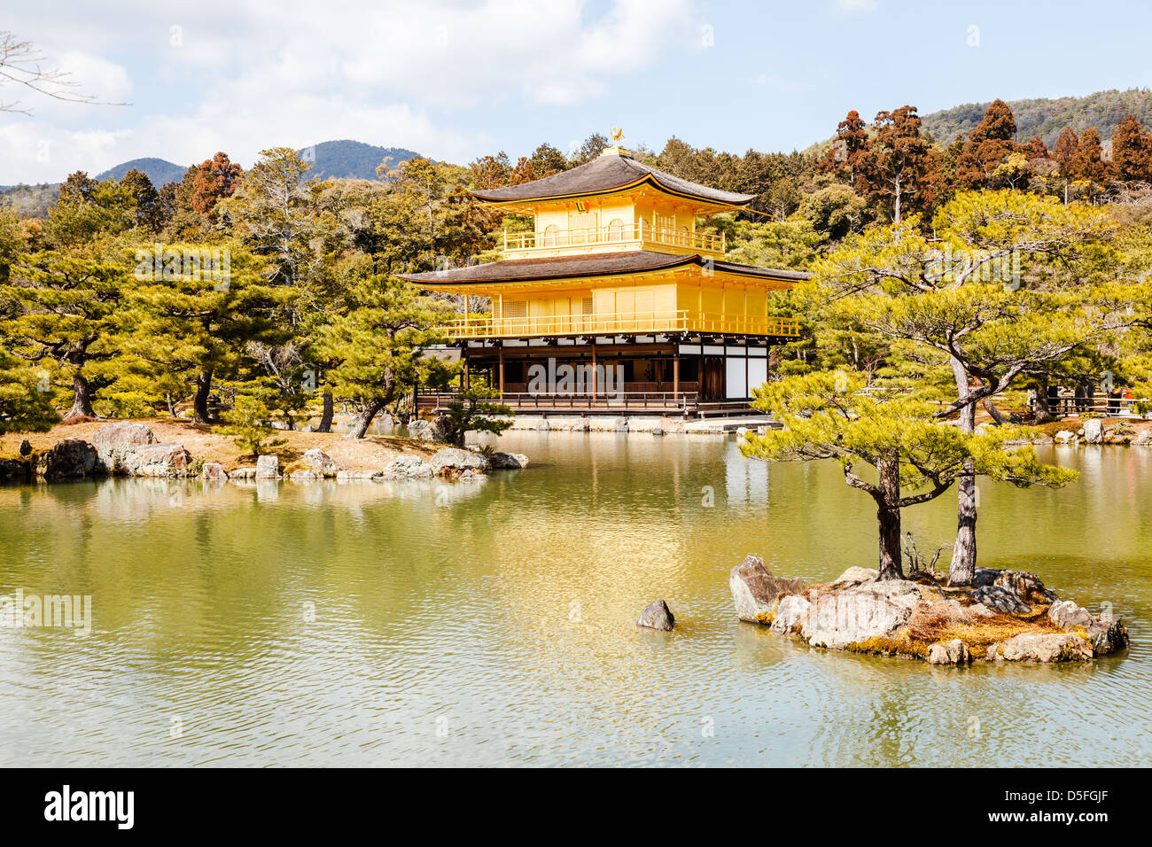 Pine forest temple hi-res stock photography and images - Alamy