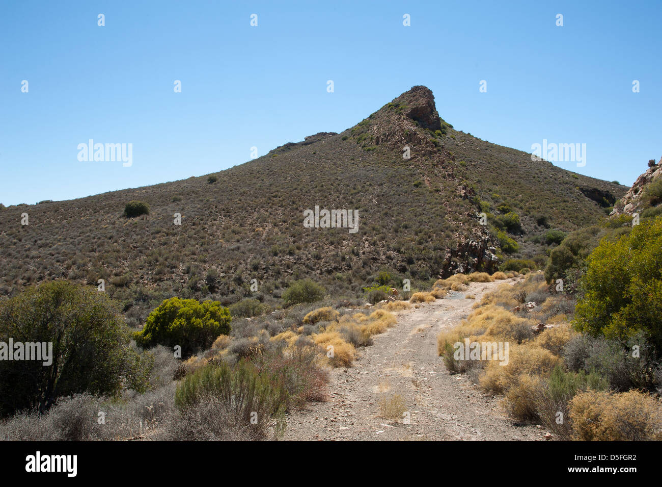 Región karoo hi-res stock photography and images - Alamy