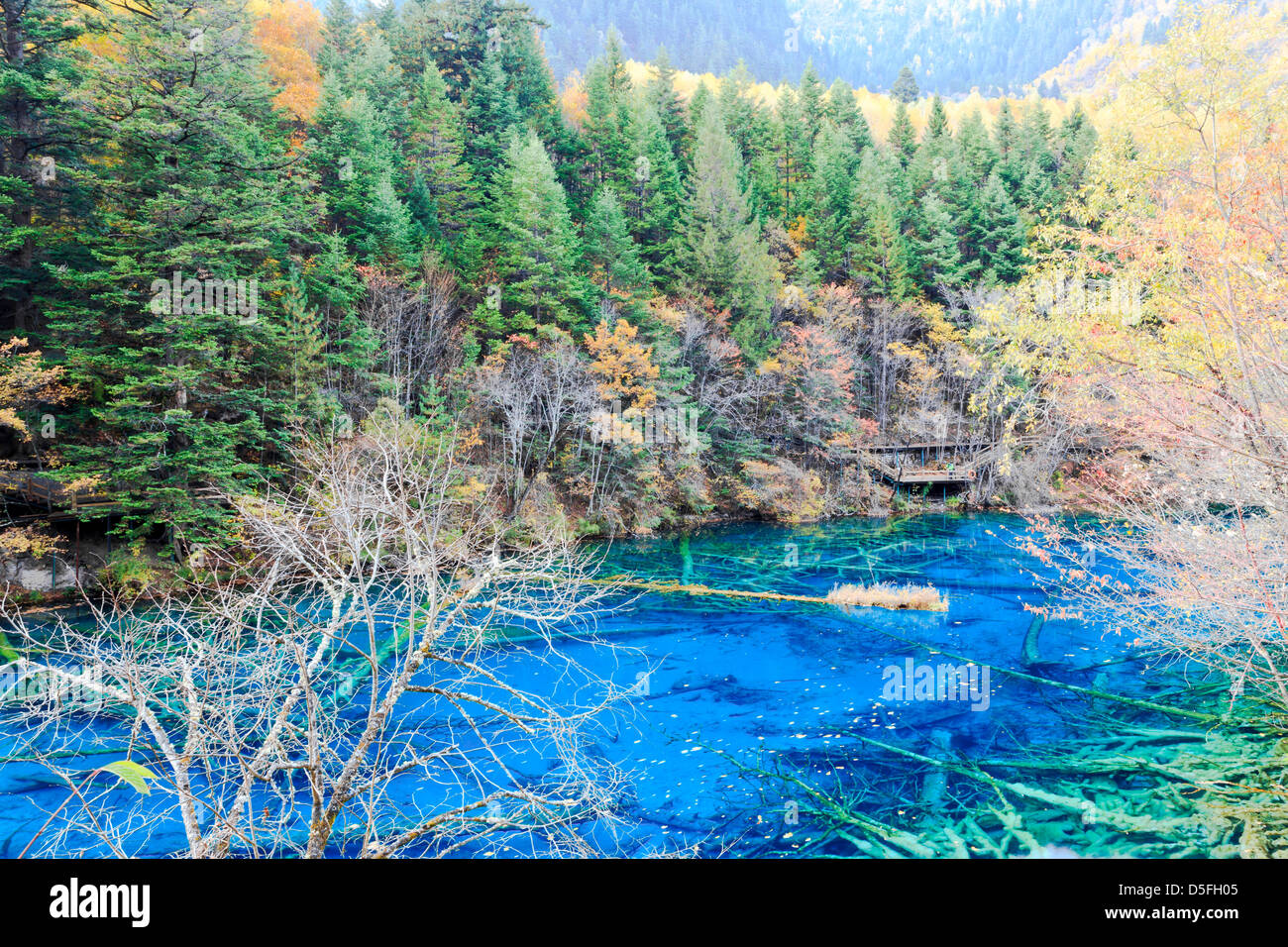 colored lake in jiuzhaigou, china Stock Photo - Alamy