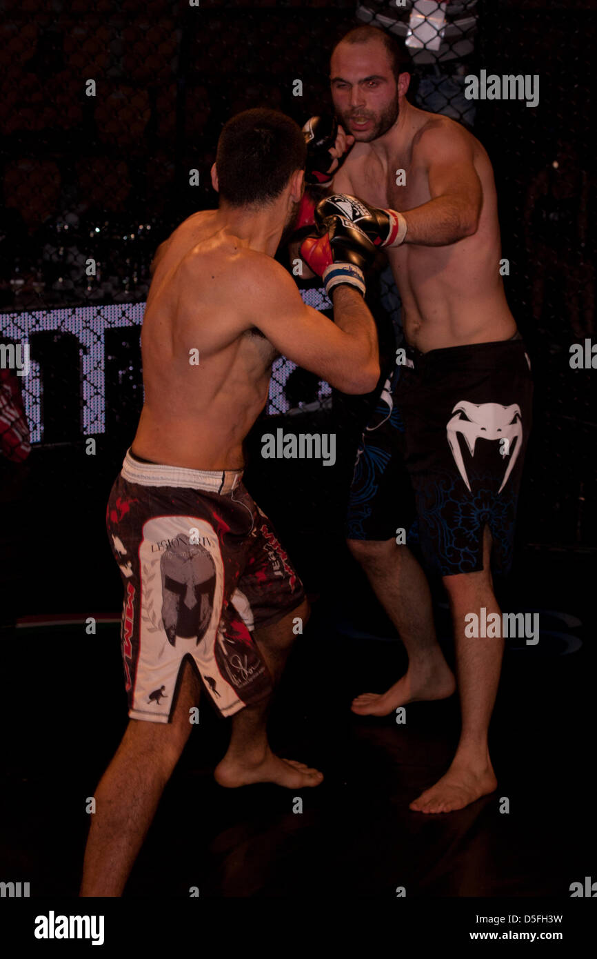 IMPERA MMA Fighting Championship 2013 Rome, Match between Francesco ...