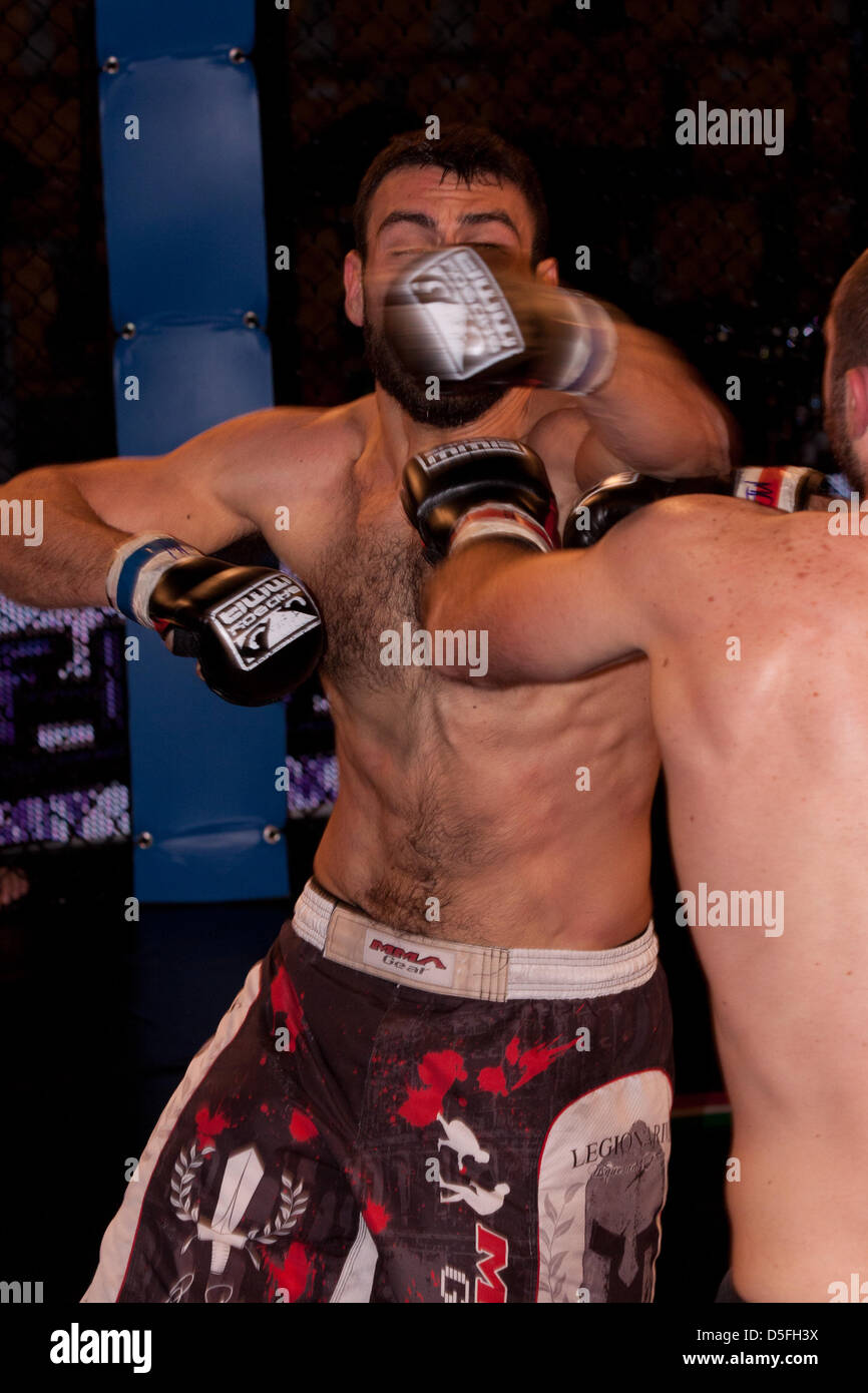 IMPERA MMA Fighting Championship 2013 Rome, Match between Francesco ...