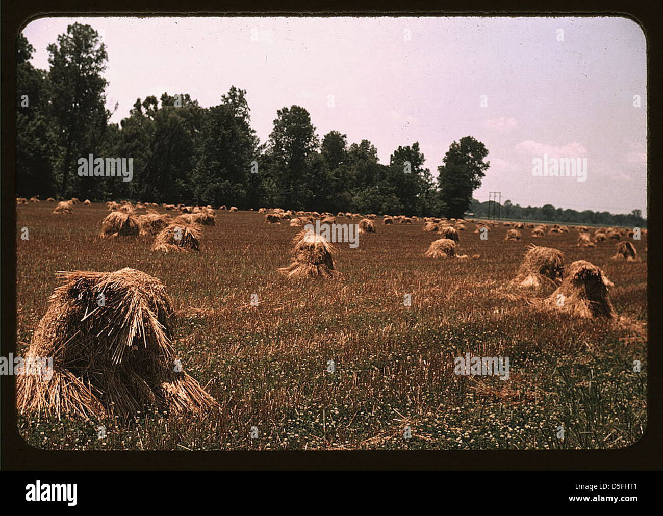 Georgia farm farming agriculture hi-res stock photography and images ...