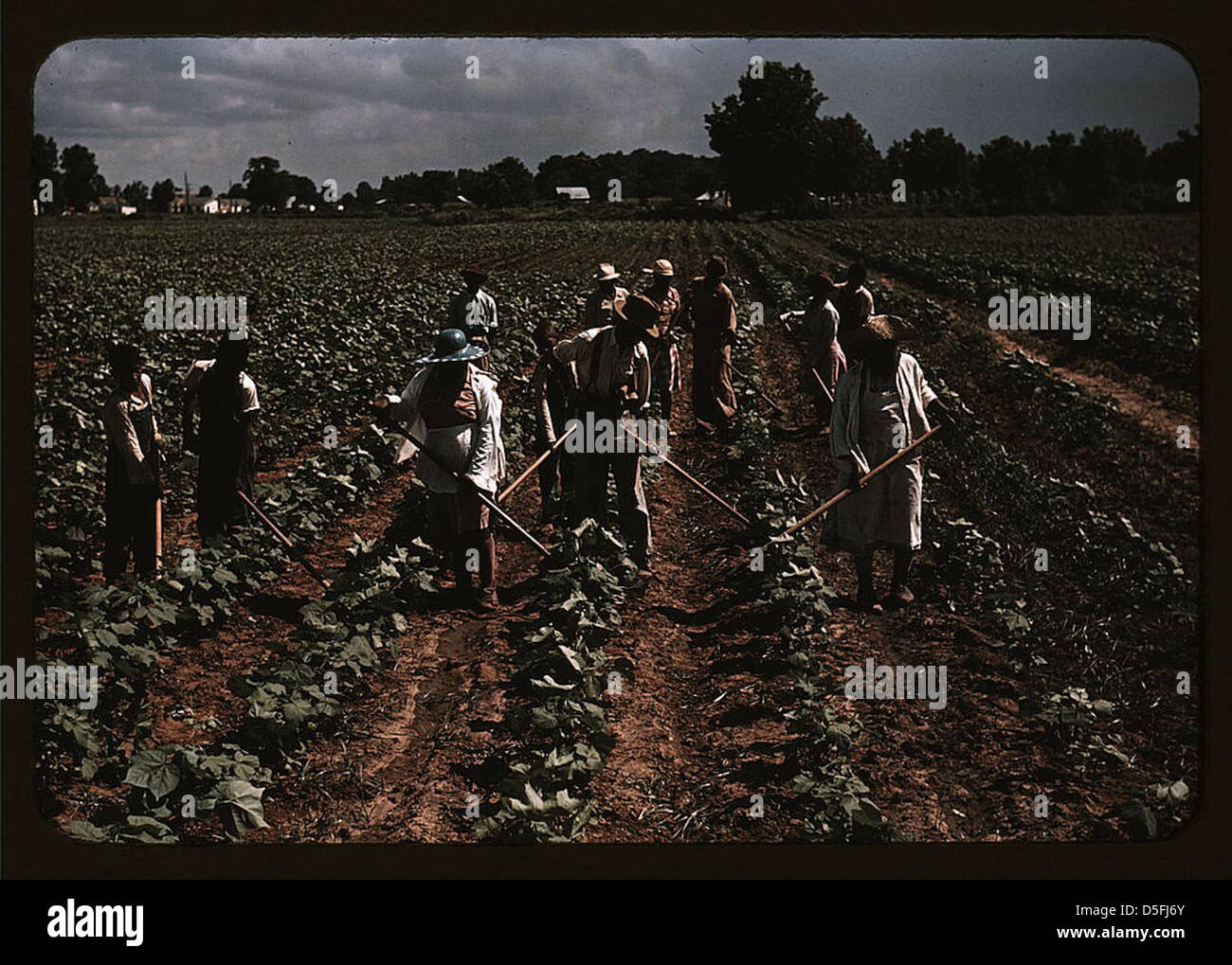 This photograph depicts the Bayou Bourbeau plantation in Natchitoches ...
