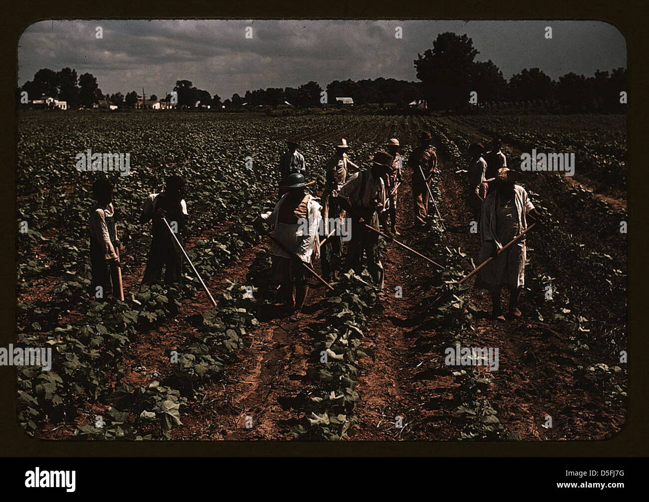 A photograph from 1940 depicting Bayou Bourbeau plantation in ...