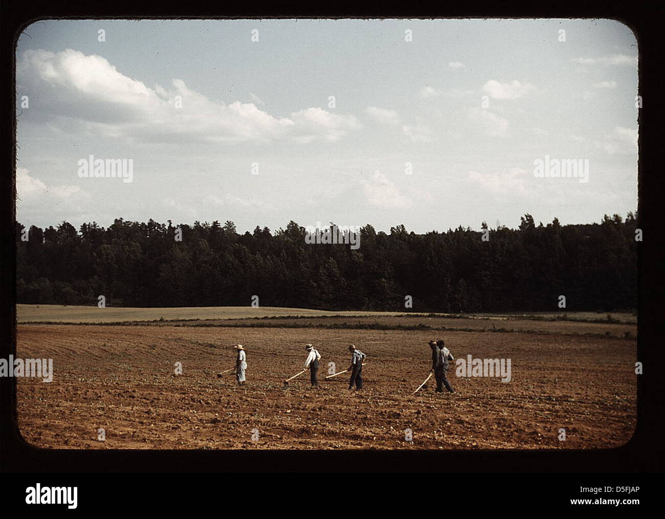 African american sharecroppers 1940s hi-res stock photography and ...