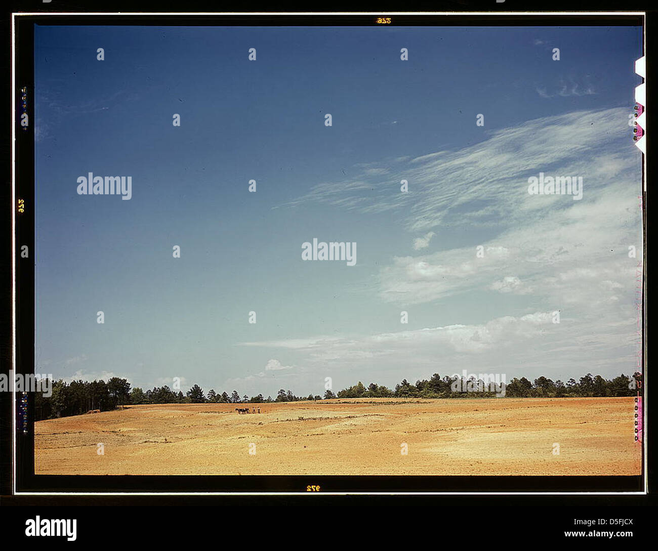 A photograph from the Farm Security Administration, showing a Black ...