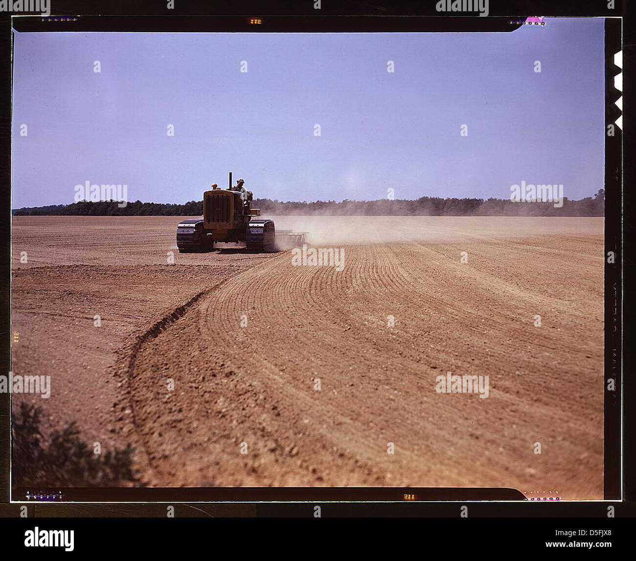 Cultivation in wartime hi-res stock photography and images - Alamy
