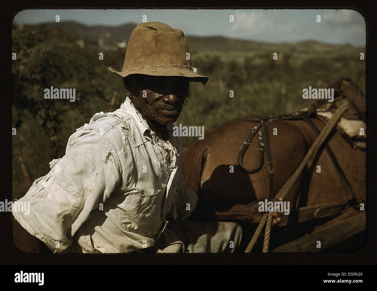 Historical puerto rico farming hi-res stock photography and images - Alamy